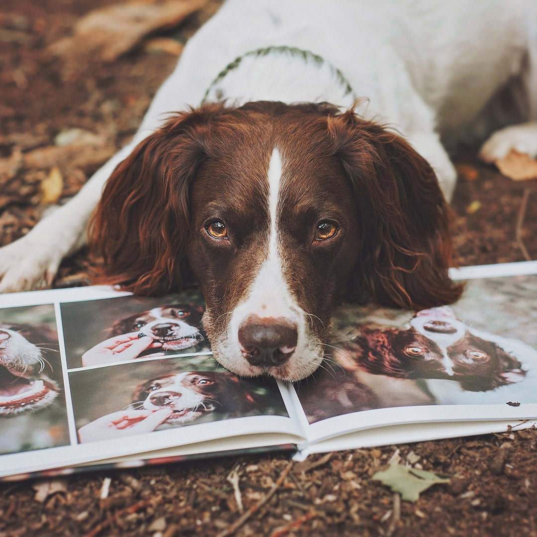 Farewell to Truprint as it joins the Snapfish family | Snapfish UK